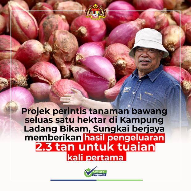 Projek hasilkan bawang tempatan pertama negara berjaya – Negeri Kita