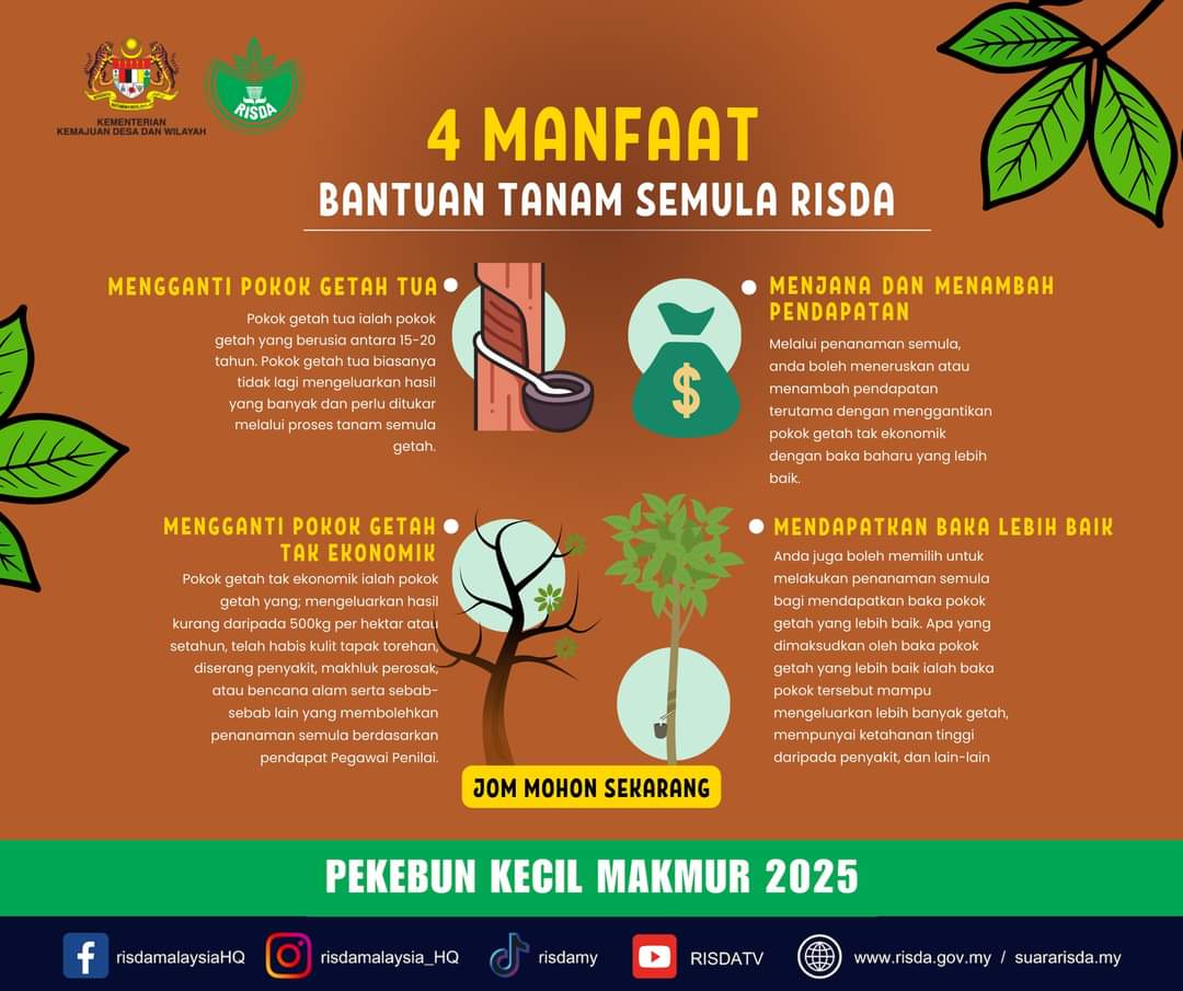 Bantuan Tanam Semula Getah Risda – Negeri Kita